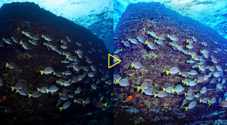 画像鮮明化 | OWLai